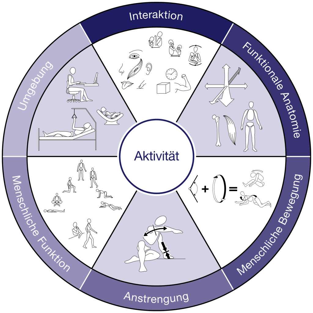 Kinaesthetics infant handling | ZiFF-Fortbildungen